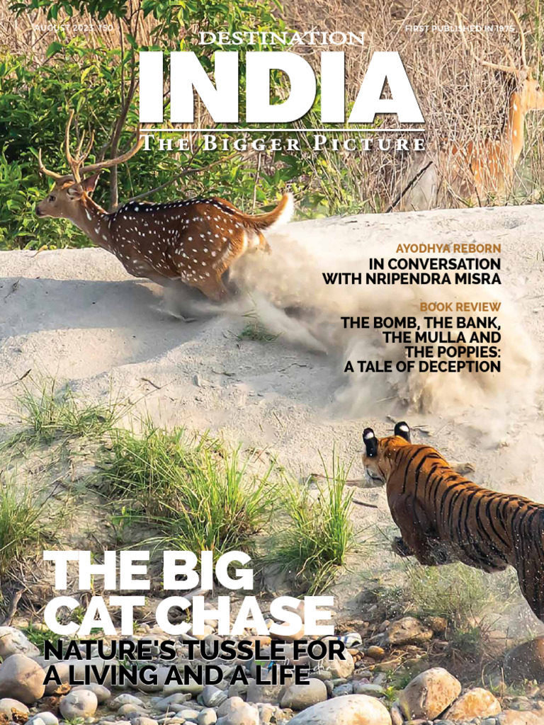 DI August 2023 | PDF