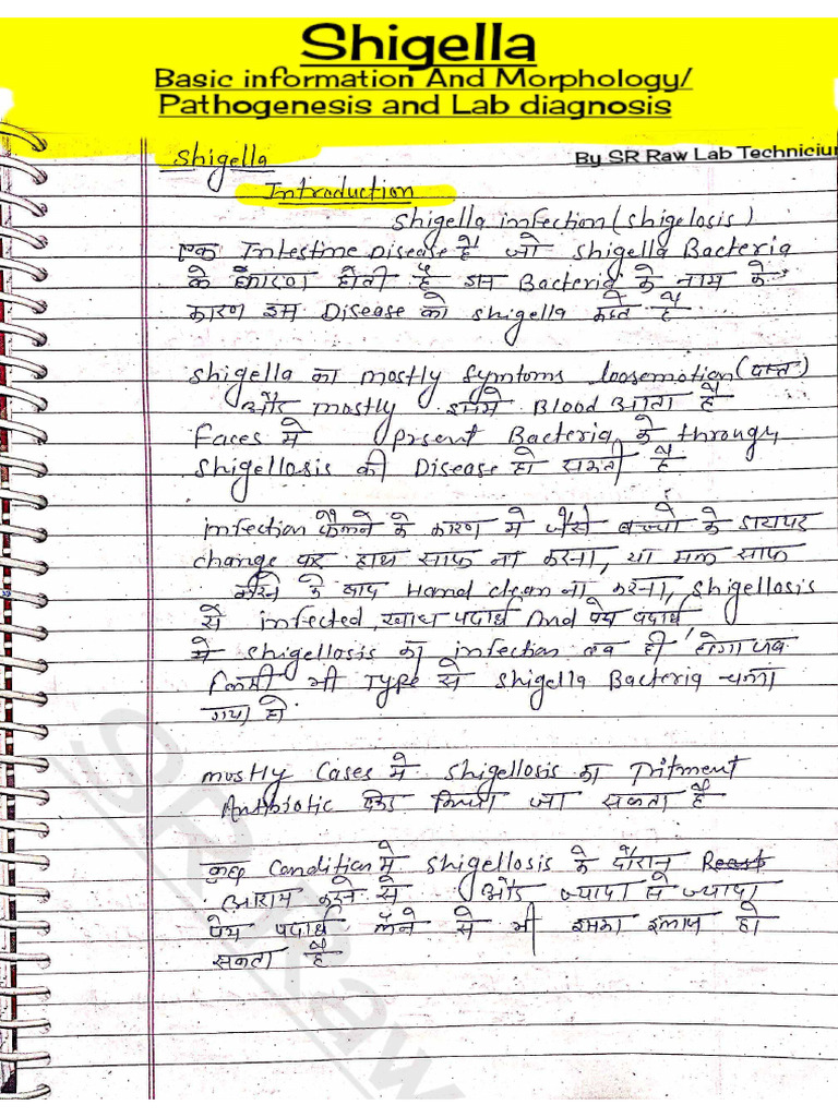 Micro 41 Shigella Bacteria Basic Information Microbiology Chapter | PDF