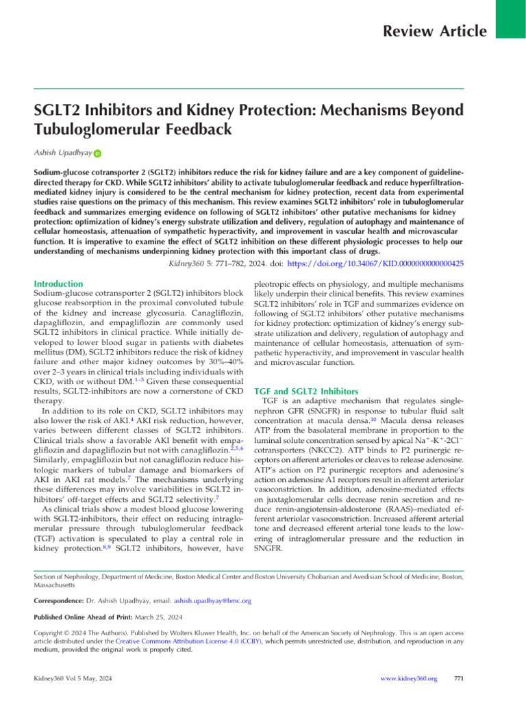 Sglt2 Inhibitors and Kidney Protection Mechanisms.23 | PDF | Kidney ...
