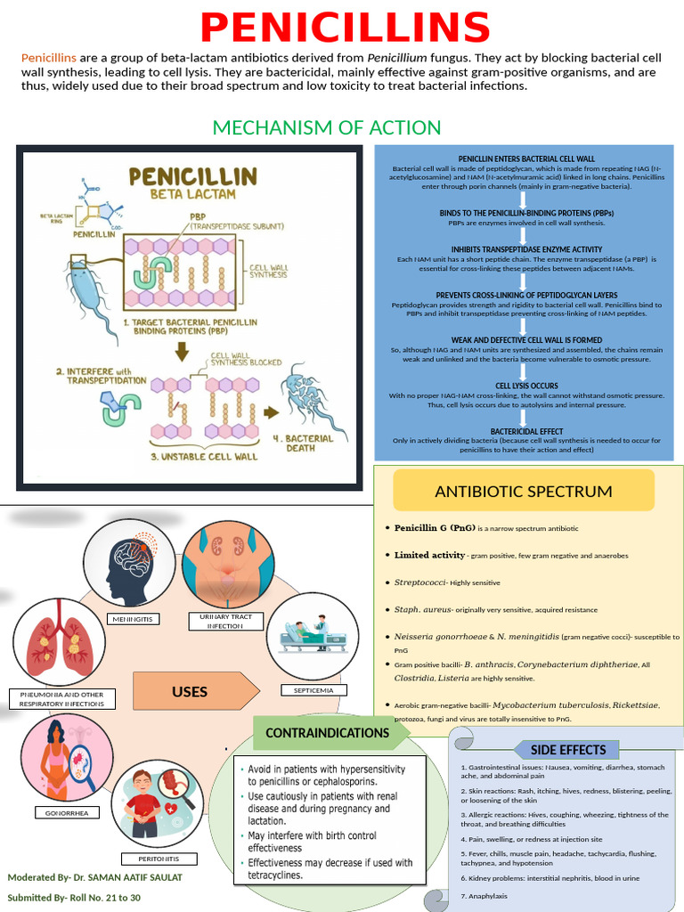 Pharma Poster Penicillins | PDF | Penicillin | Bacteria