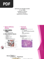 Serous vs Mucous Salivary Glands Comparison | PDF