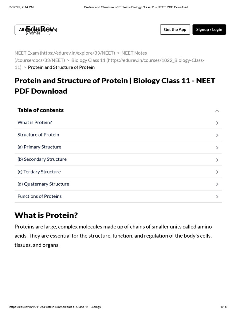 Protein Structure Overview for Class 11 | PDF | Proteins | Alpha Helix