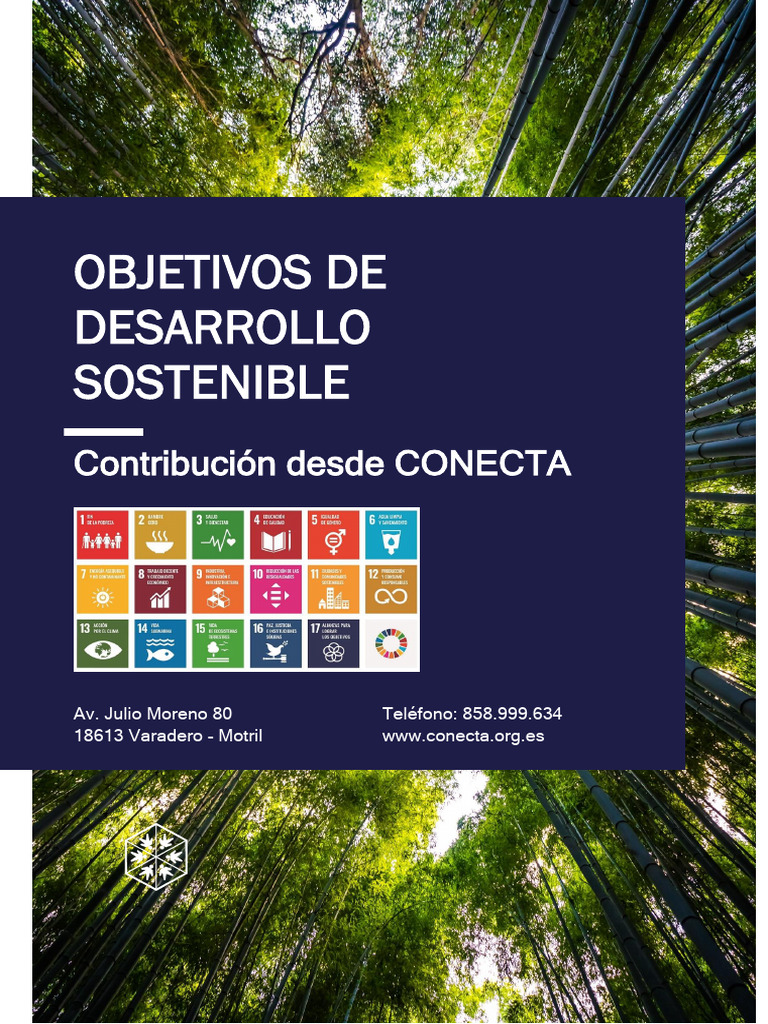 CONECTA - ODS Ag 2030 y Discap | PDF | Invalidez | Igualdad de género