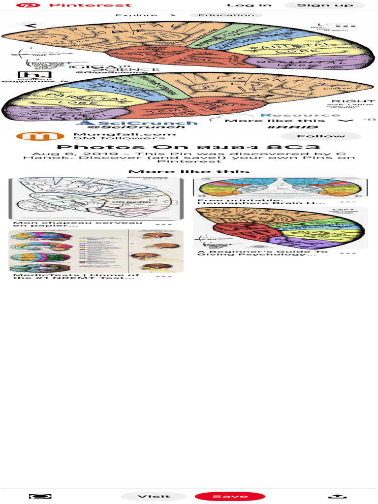 Free Printable Hemisphere Brain Hat From Elsevierdirect - Dissection ...