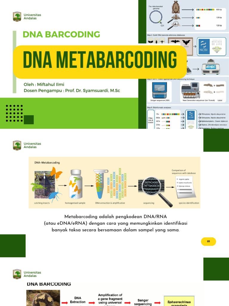 Miftahul Ilmi - DNA Metabarcoding | PDF