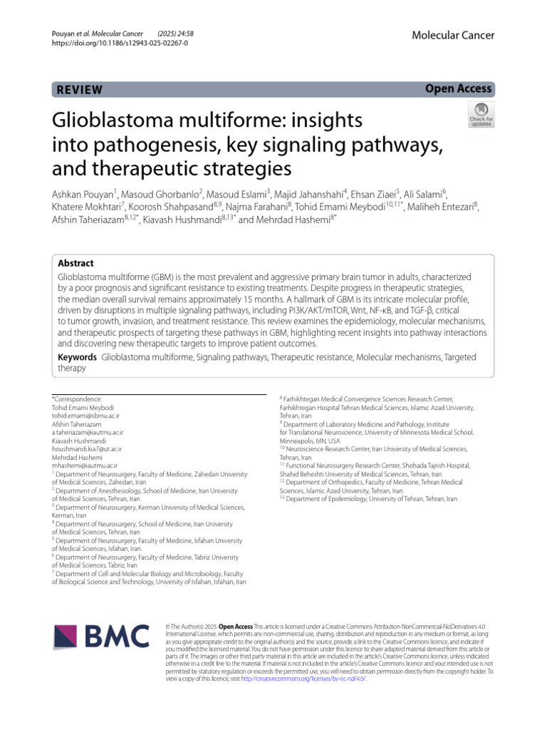 Glioblastoma Multiforme: Insights Into Pathogenesis, Key Signaling Pathways, and Therapeutic ...