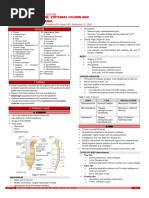 Understanding the Costal Arch Anatomy | PDF | Thorax | Thorax (Human ...