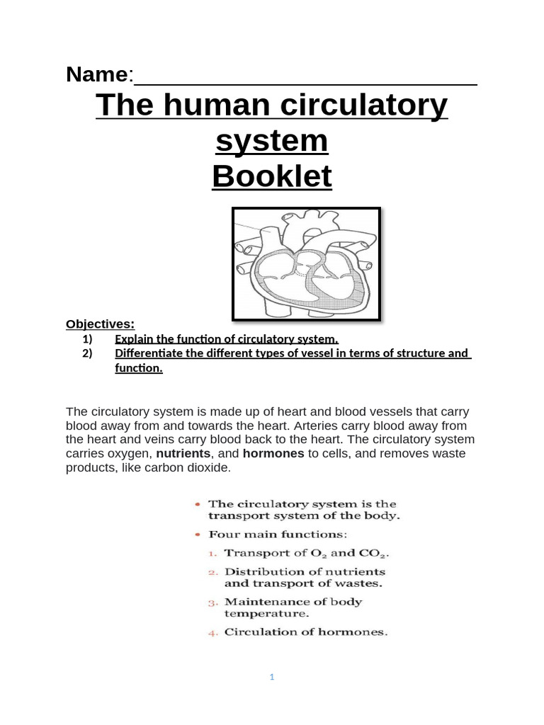 1) Blood Vessels Note Paper | PDF | Artery | Blood Vessel