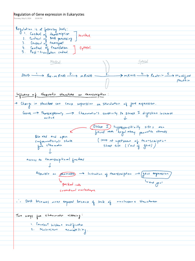 Eukaryotic Gene Expression Regulation | PDF