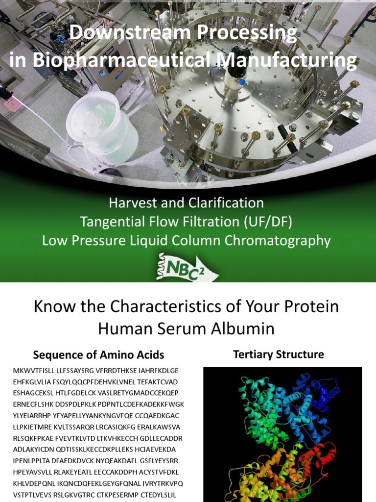 Downstream Processing | PDF | Chromatography | Ion Exchange