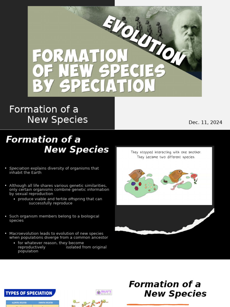 Formation of A New Species | PDF | Reproduction | Ploidy