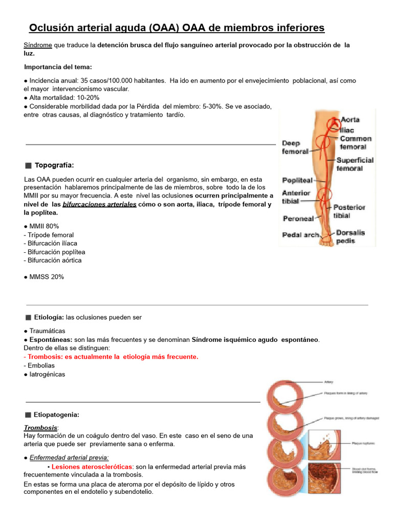 15 - Oclusión Arterial Aguda (OAA) OAA de Miembros Inferiores | PDF | Trombo | Embolia