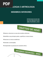 11 - Região Poplítea | PDF | Joelho | Anatomia humana