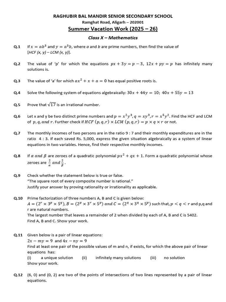 Class X - Summer Vacation Work (2025 - 26) | PDF | Numbers | Equations