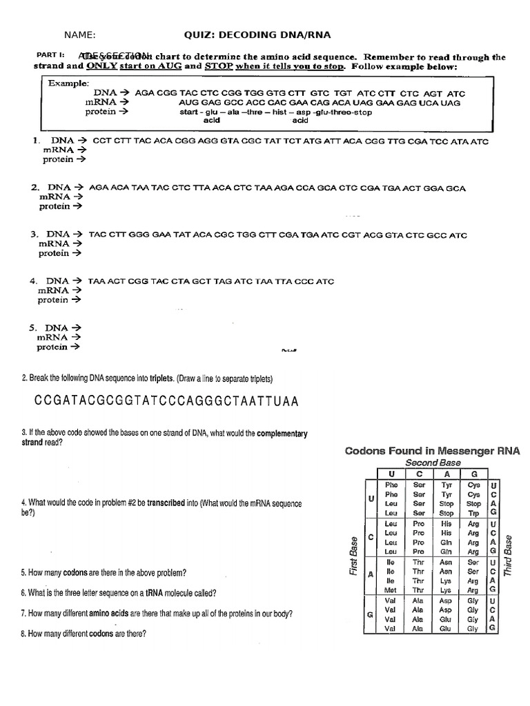 Decoding of DNA | PDF