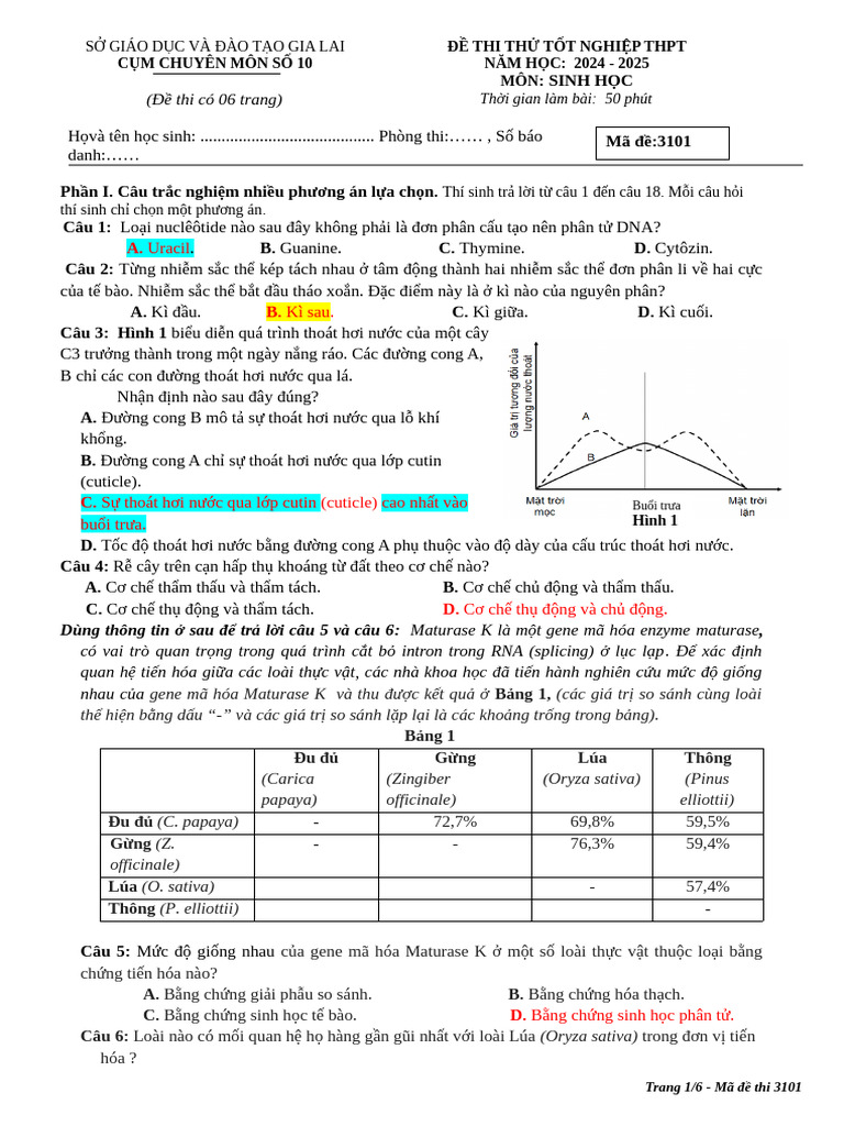 Đề Luyện Tập Lop 12.1 | PDF