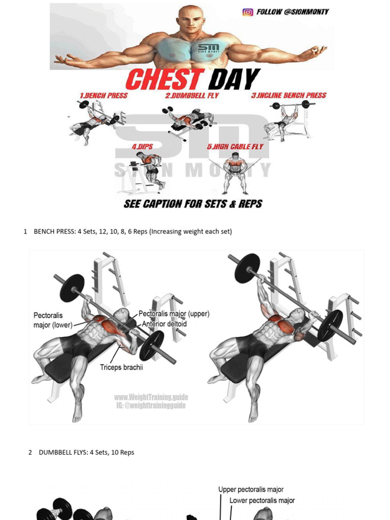 Bench Press and Fly Workout Plan | PDF