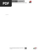 Instructivo Subir Documentos MINSA | PDF