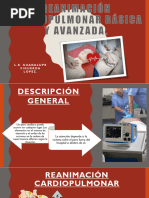 Infografía de RCP Básico y Avanzado | PDF | Reanimación cardiopulmonar ...