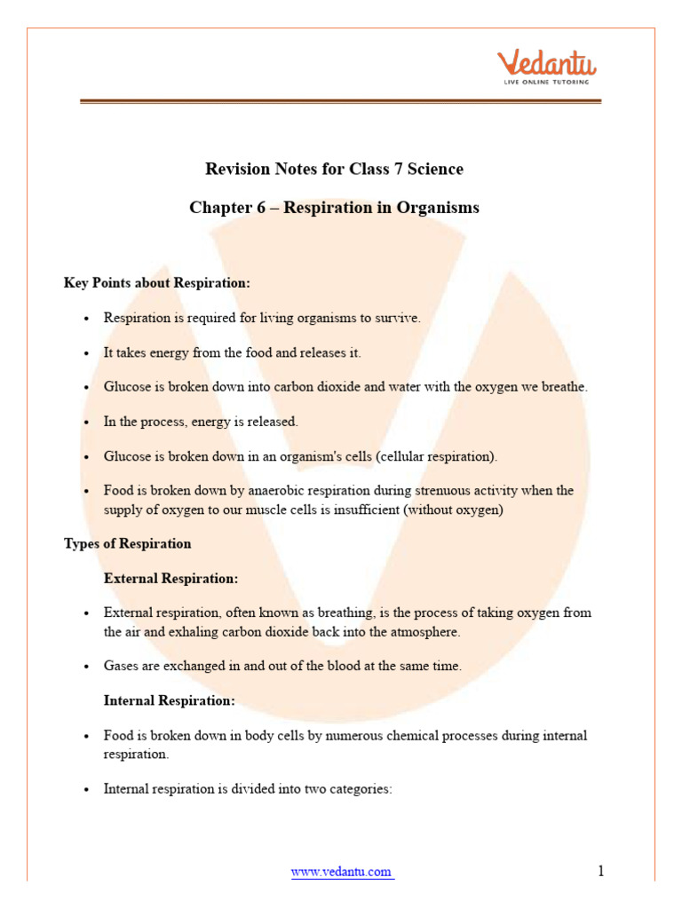 Class 7 Science: Respiration Notes | PDF | Respiratory System | Breathing