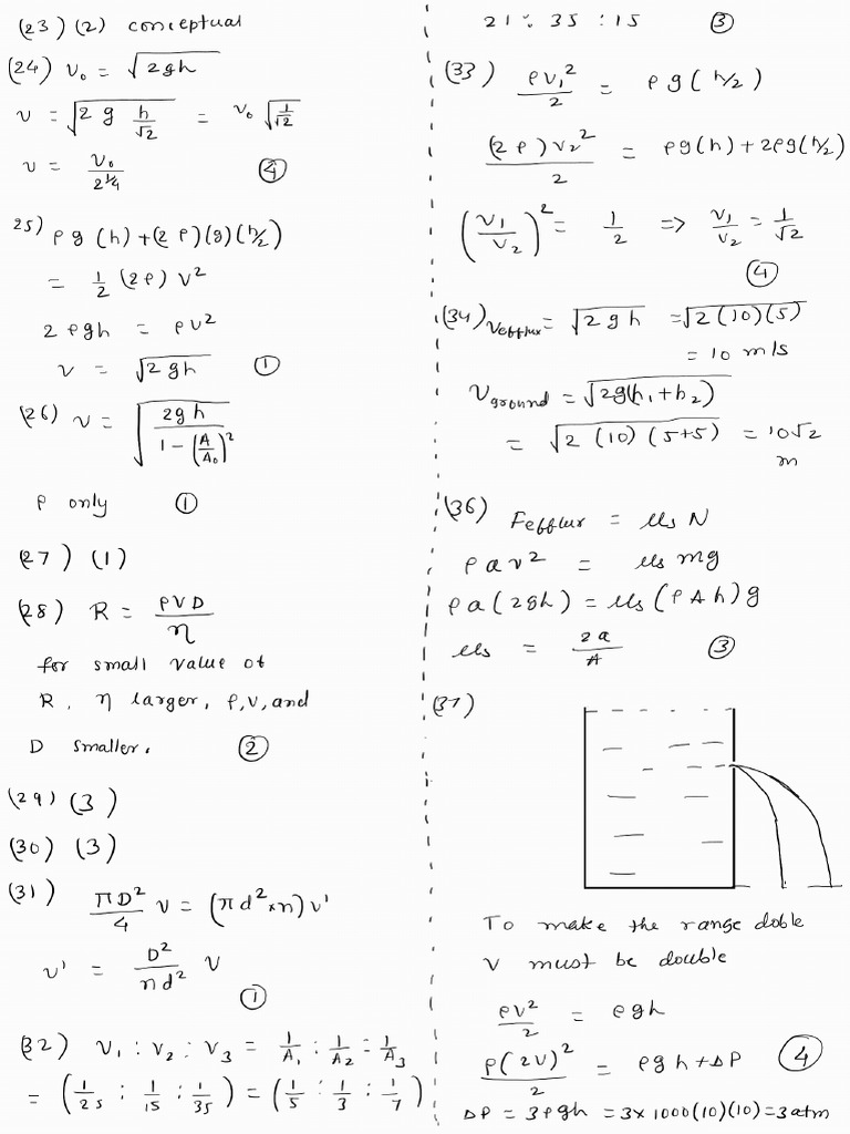 Junior NEET T1 Solutions | PDF