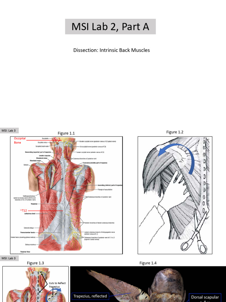Images Lab 2 Part A | PDF