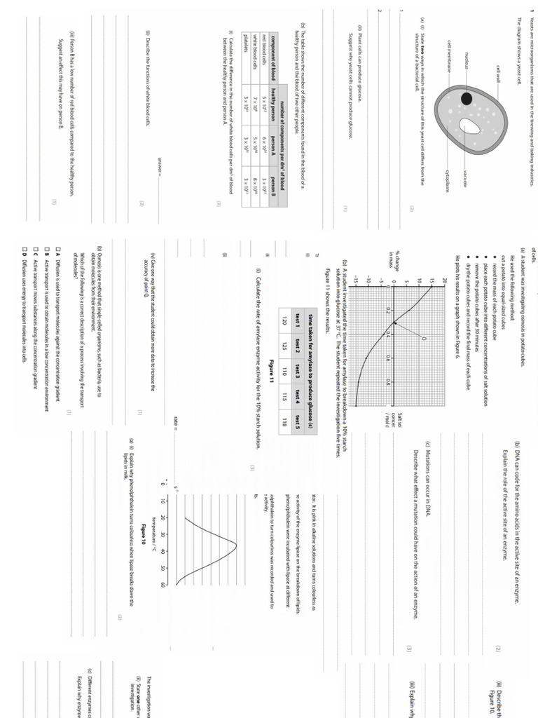 Cells and Enzymes | PDF