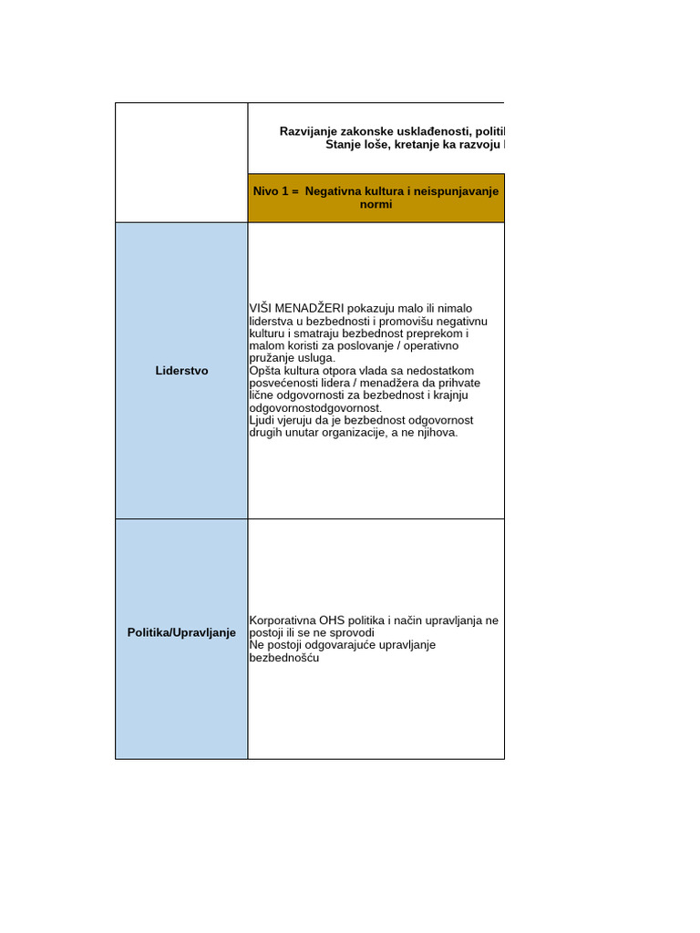 Maturity Matrix | PDF