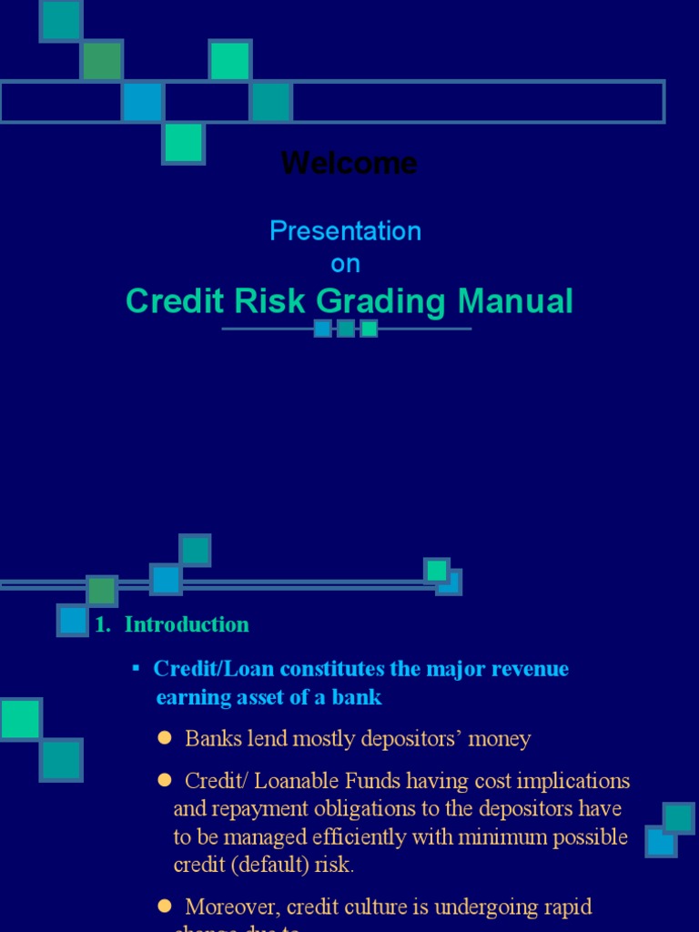 CRG - Manual | PDF | Credit Risk | Credit (Finance)