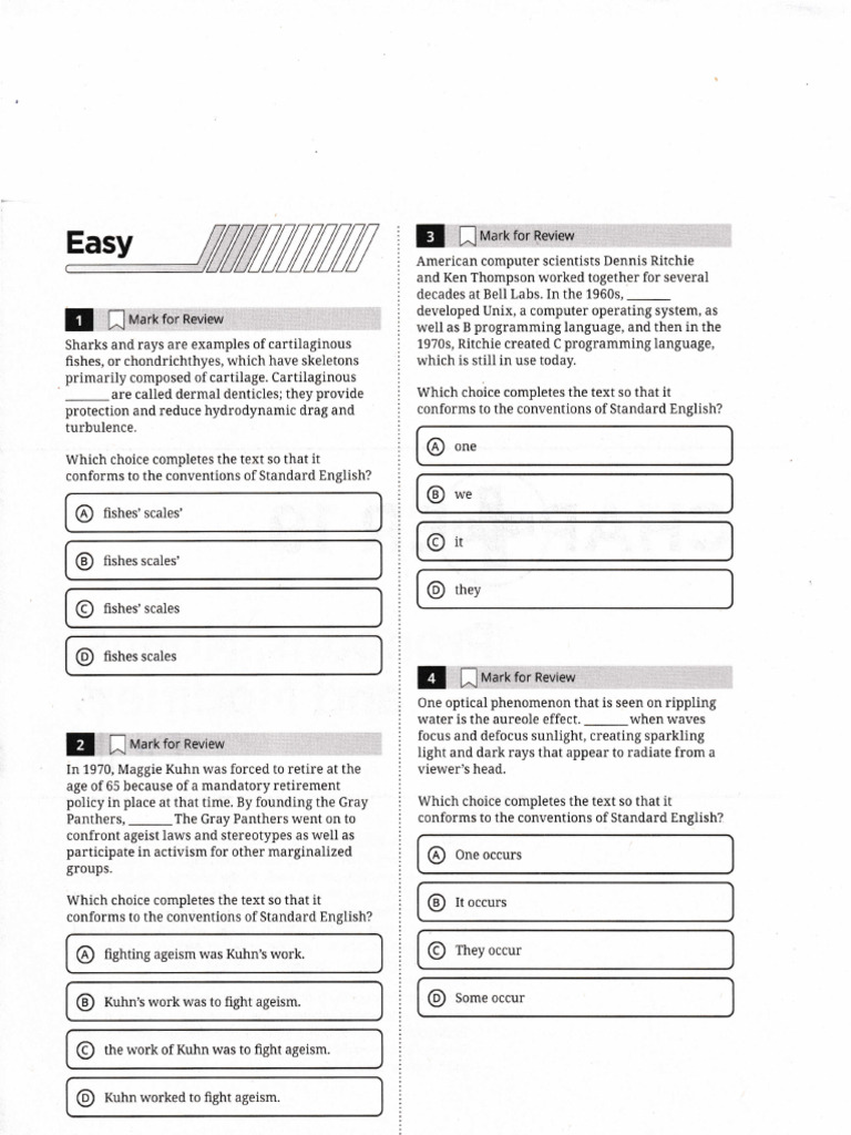 English Grammar Completion Exercises | PDF | Computer Programming ...