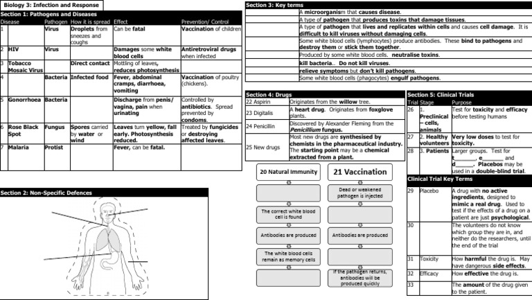 Science B3-Knowledge-Organiser Infection and Response | PDF | Pathogen | Infection
