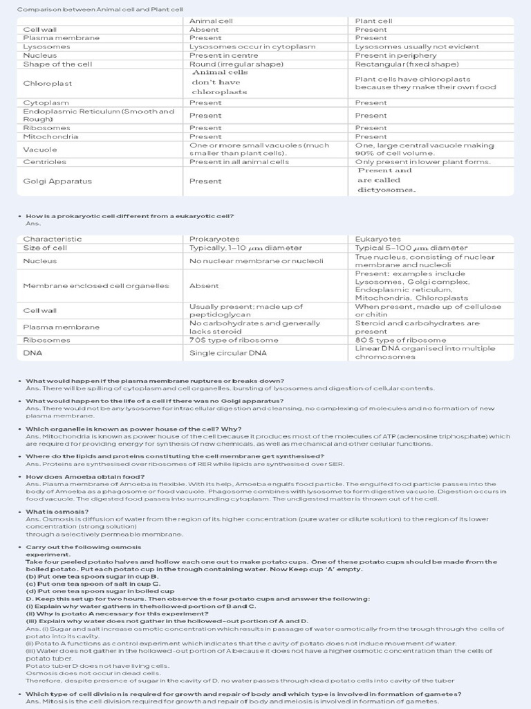 Screenshot 2025 0513 181706 | PDF