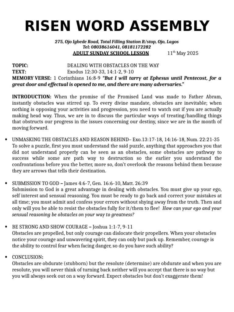 Dealing With Obstacles On The Way | PDF