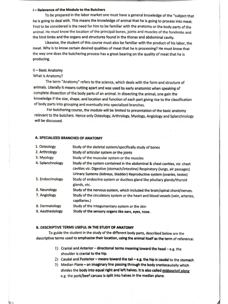 Butchering Module 1 | PDF
