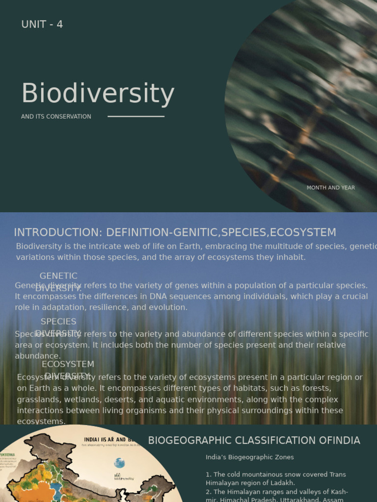 Biodiversity Education Presentation Presentation in Dark Green White ...