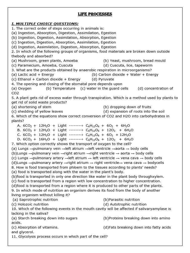 Life Process Worksheets | PDF | Cellular Respiration | Physiology