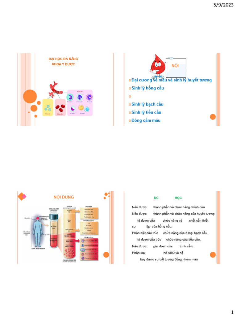 1 Sinh Lý Máu SV1 | PDF