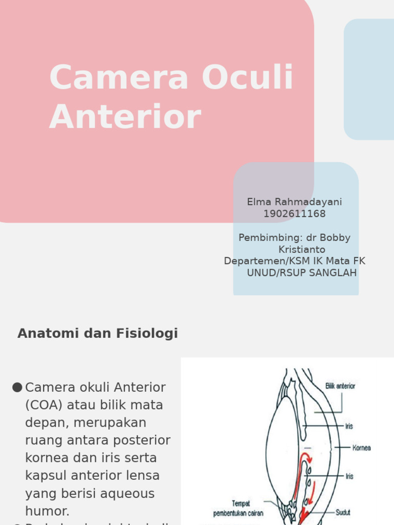 Anatomi dan Penanganan Camera Oculi | PDF