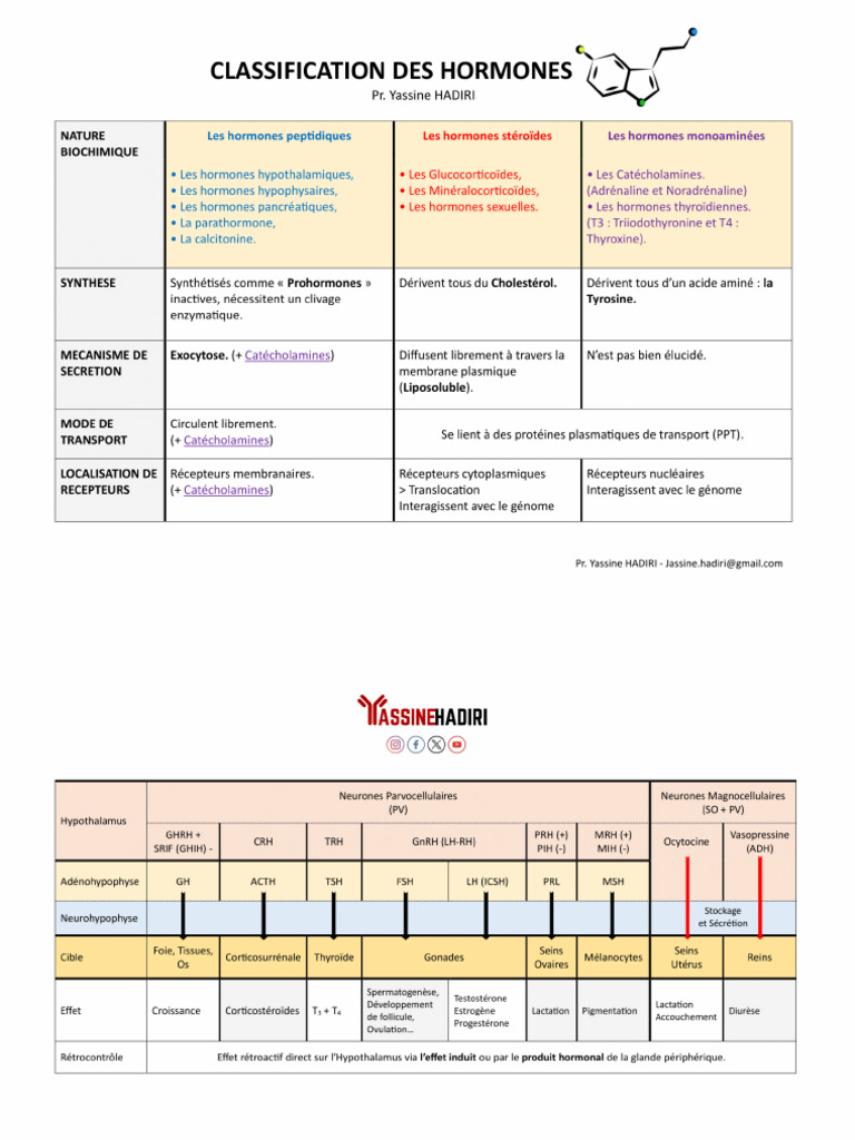 Classification Hormones | PDF
