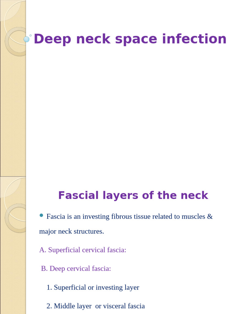 Neck Space Infection | PDF | Neck | Common Carotid Artery