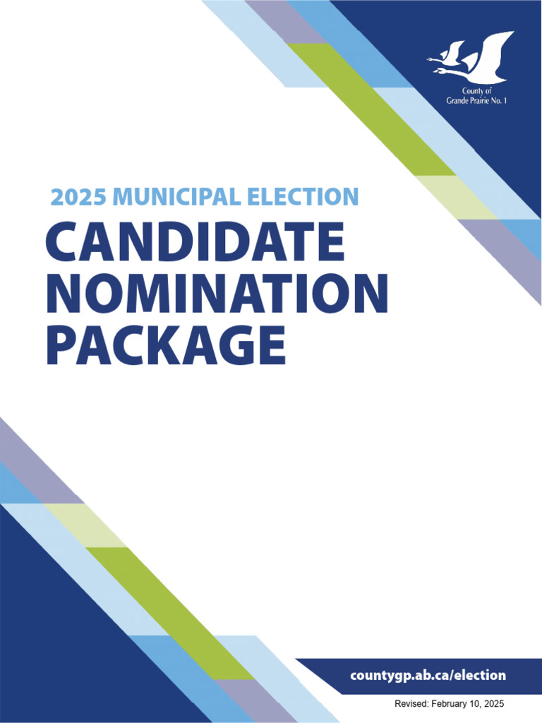 2025 Candidate Nomination Package (Revised 2025-02-10) V3 | PDF ...