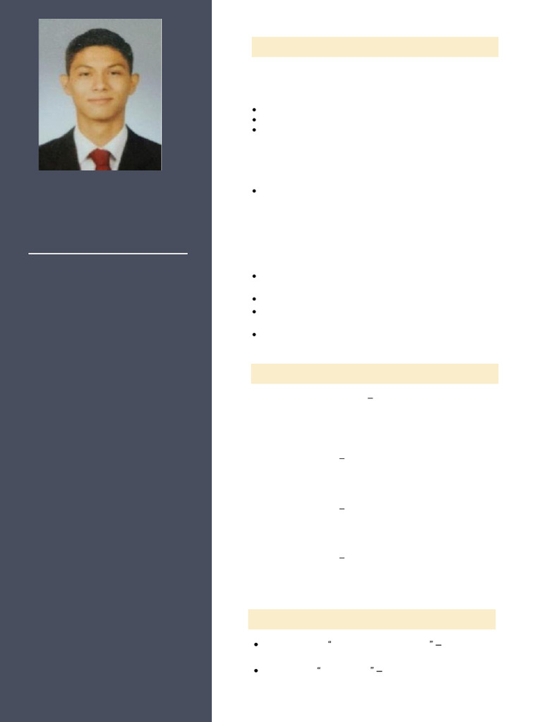 CV Alejandro Herrera | PDF | Red mundial | Internet y web