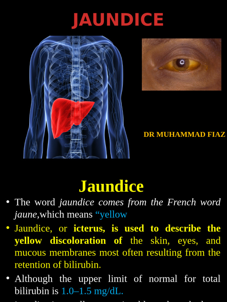 Jaundice | PDF | Hepatitis B | Hepatitis