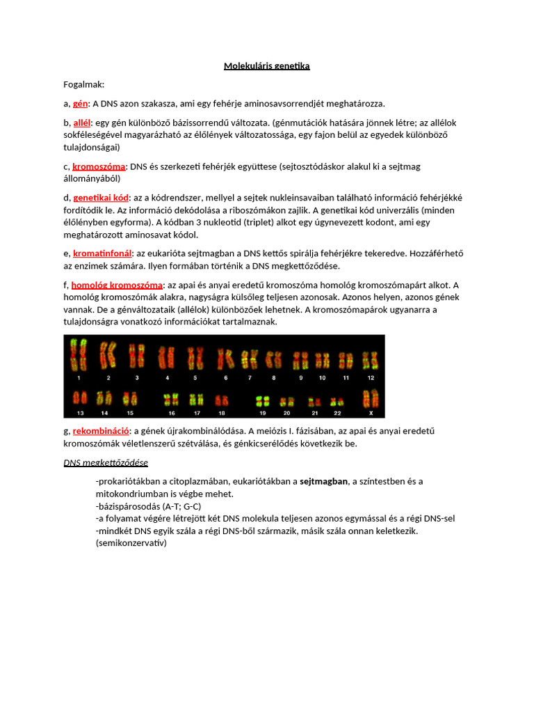Molekuláris Genetika | PDF