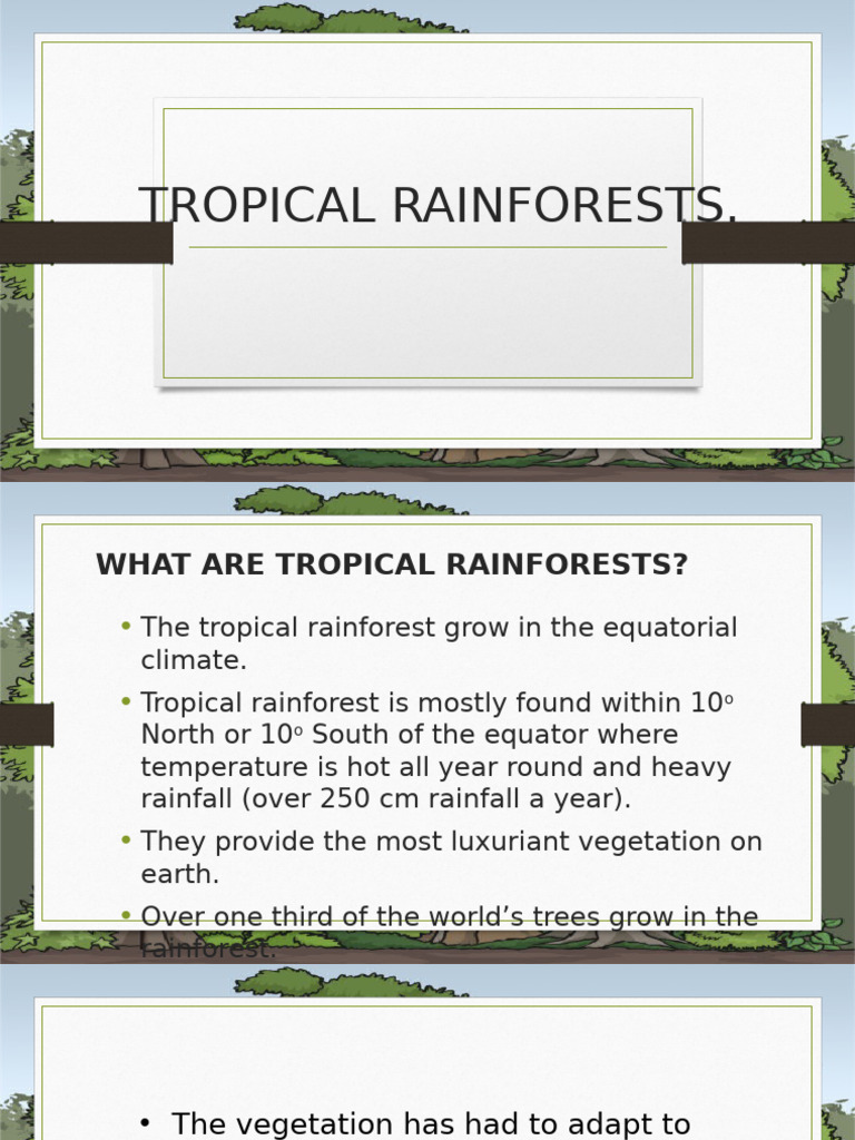 1.4 Tropical Rainforest | PDF | Rainforest | Canopy (Biology)