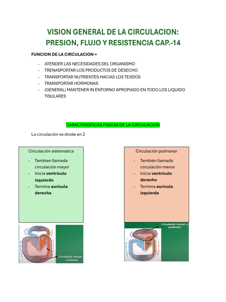 Cap 14 Vision General de La Circulacion | PDF | Sistema circulatorio | Vena