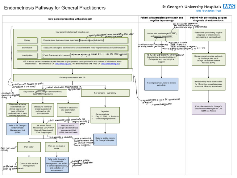 17 - 04 - 2025 L Endometriosis Pathway For General Practitioners L ...