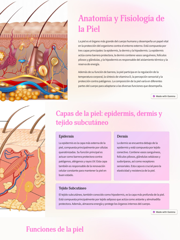 Anatomia-y-Fisiologia-de-la-Piel (1) | PDF | Piel | Color de piel humana