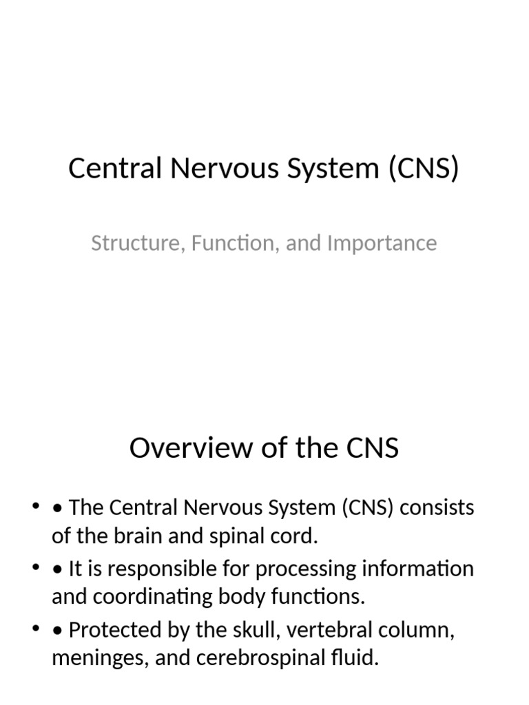 Central Nervous System | PDF
