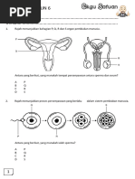 Uasa SN THN 6 Set 2 2024 2025 by Cikgu Gorgeous | PDF